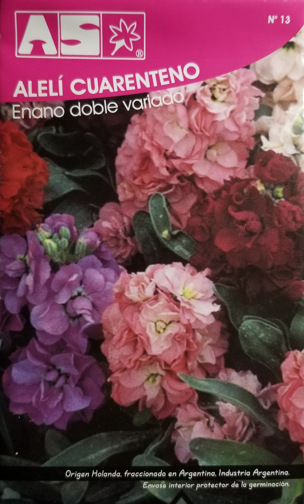 ALELI CUARENTENO Enano doble – Arie Sonneveldt