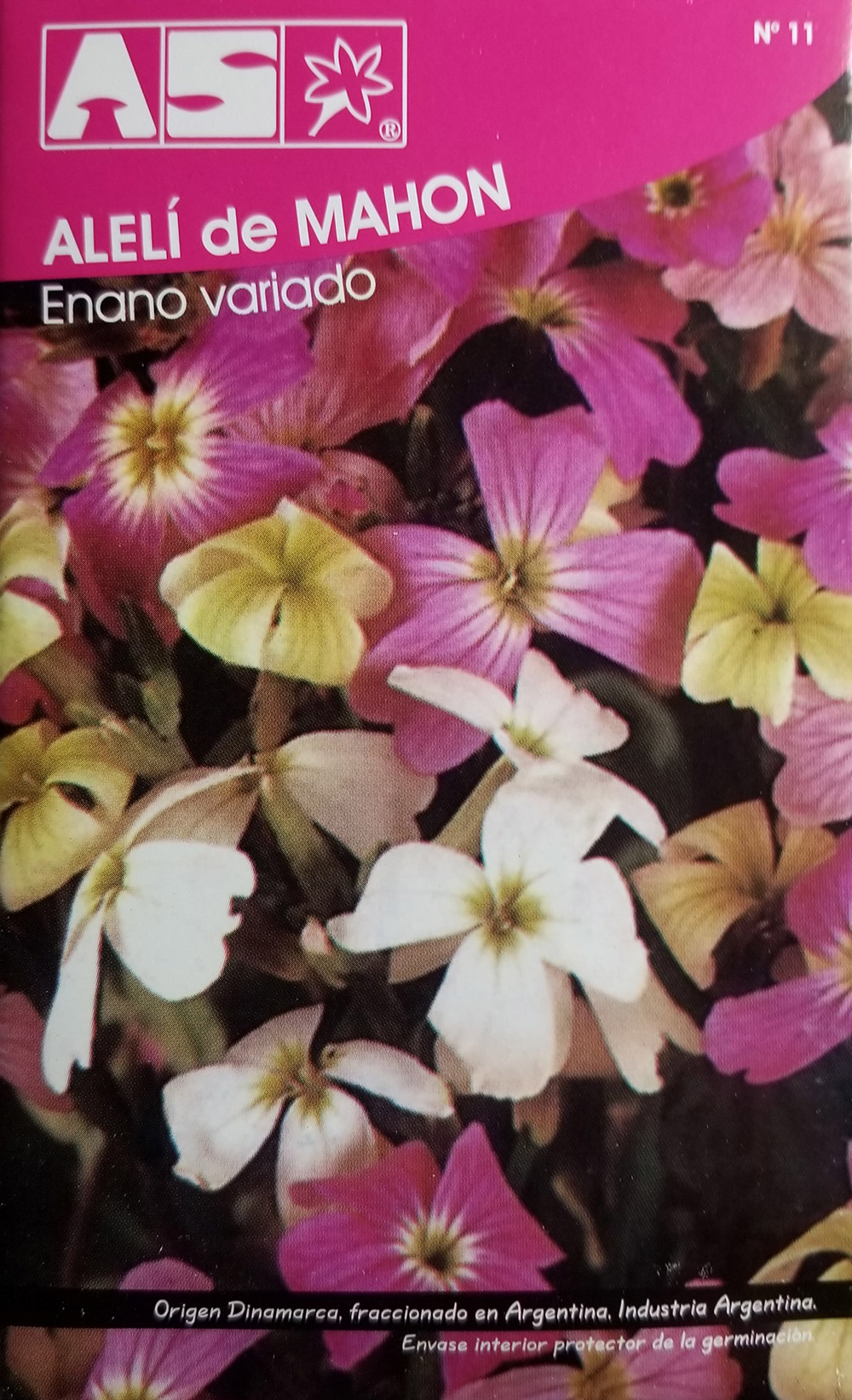 ALELI DE MAHON Enano Variado – Arie Sonneveldt