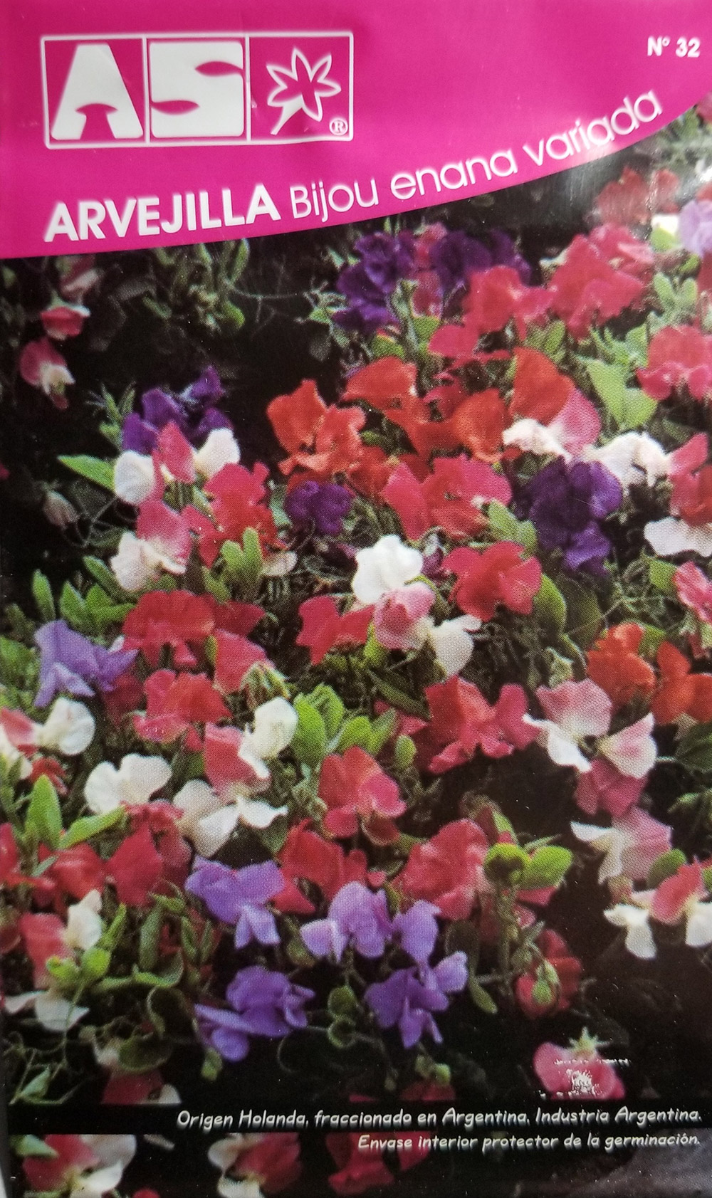 ARVEJILLA Bijou Enana variada – Arie Sonneveldt
