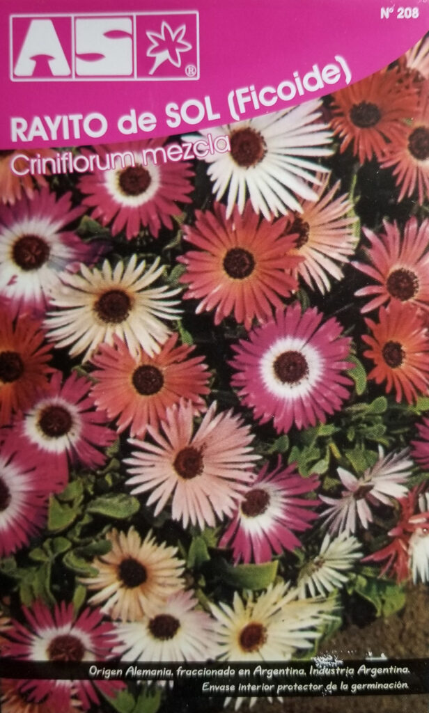 RAYITO DE SOL (FICOIDE) Mezcla – Arie Sonneveldt