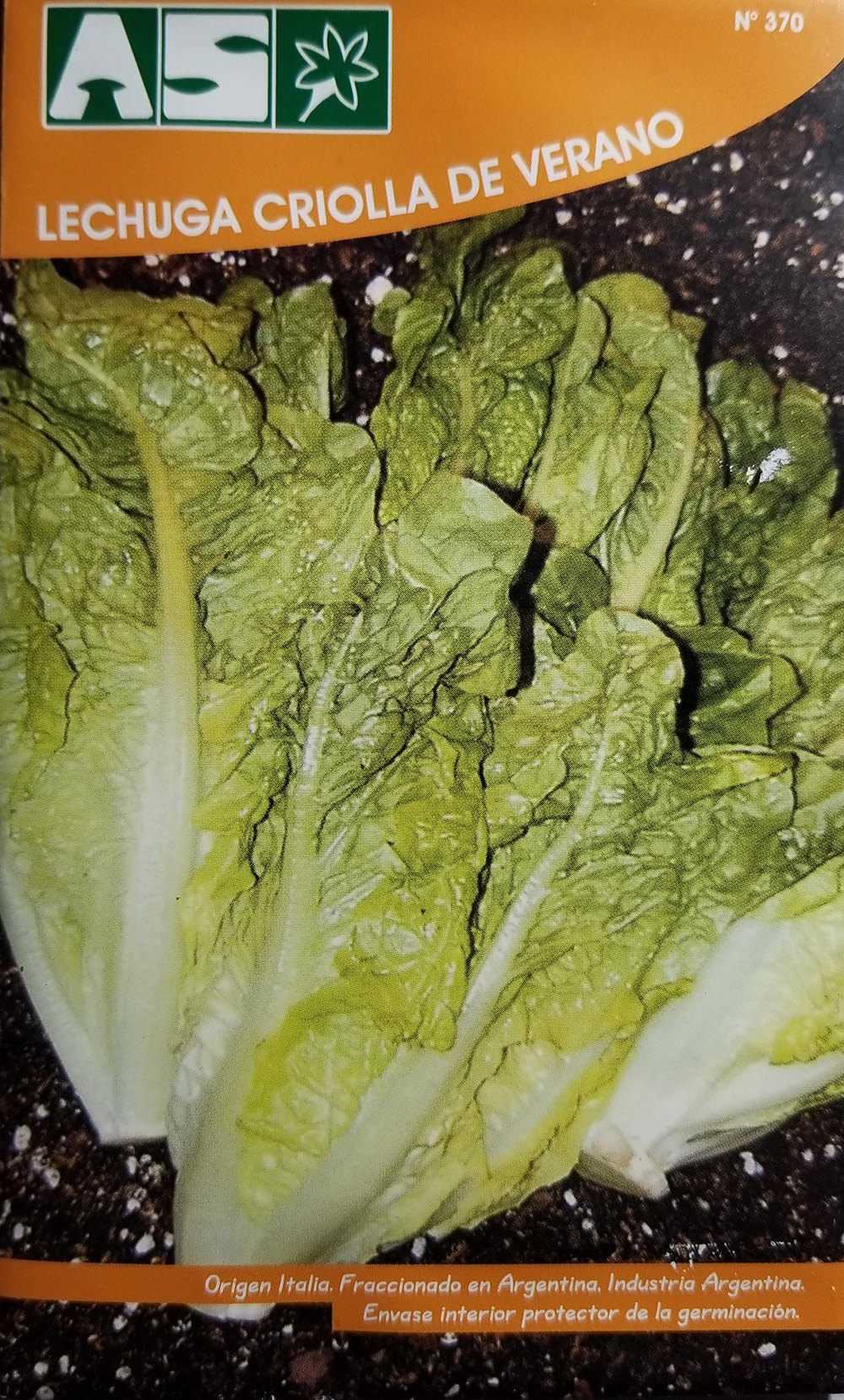 LECHUGA CRIOLLA De Verano – Arie Sonneveldt