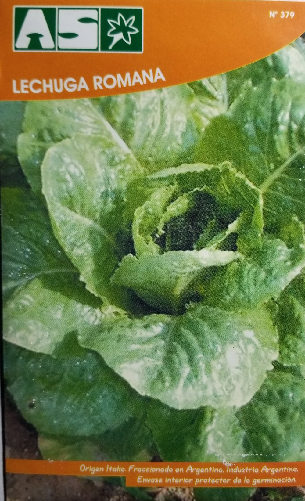 LECHUGA ROMANA – Arie Sonneveldt